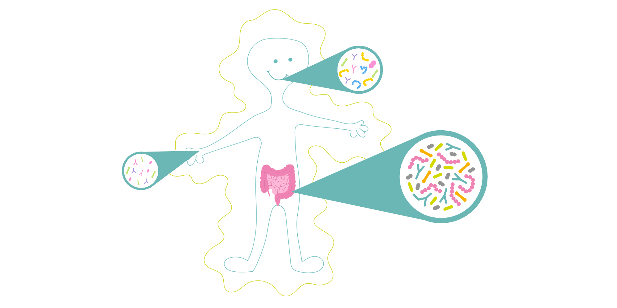 What are the microbiome and microbiota? | MyMicroZoo