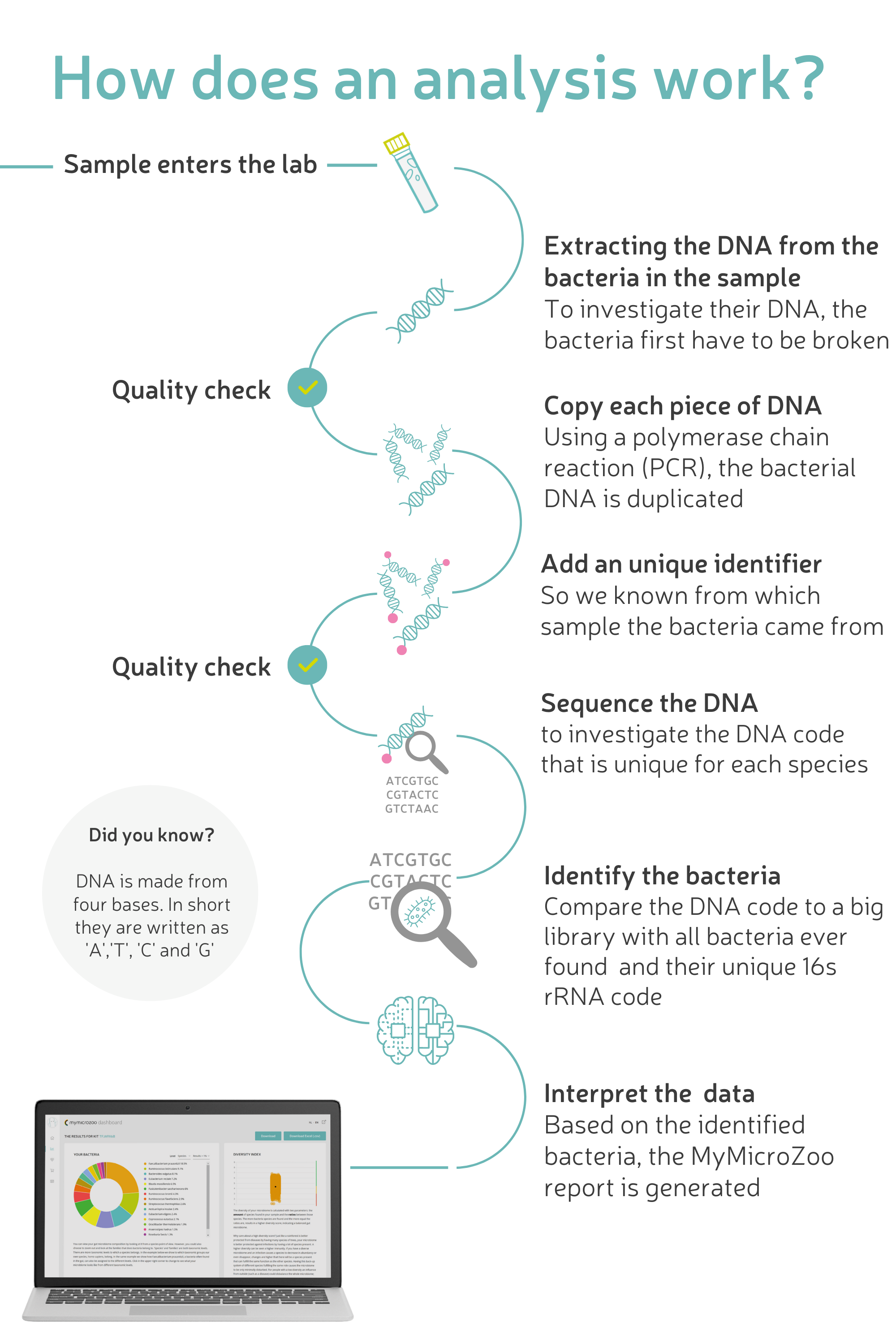 Microbiome test: for whom and how does it work? | MyMicroZoo