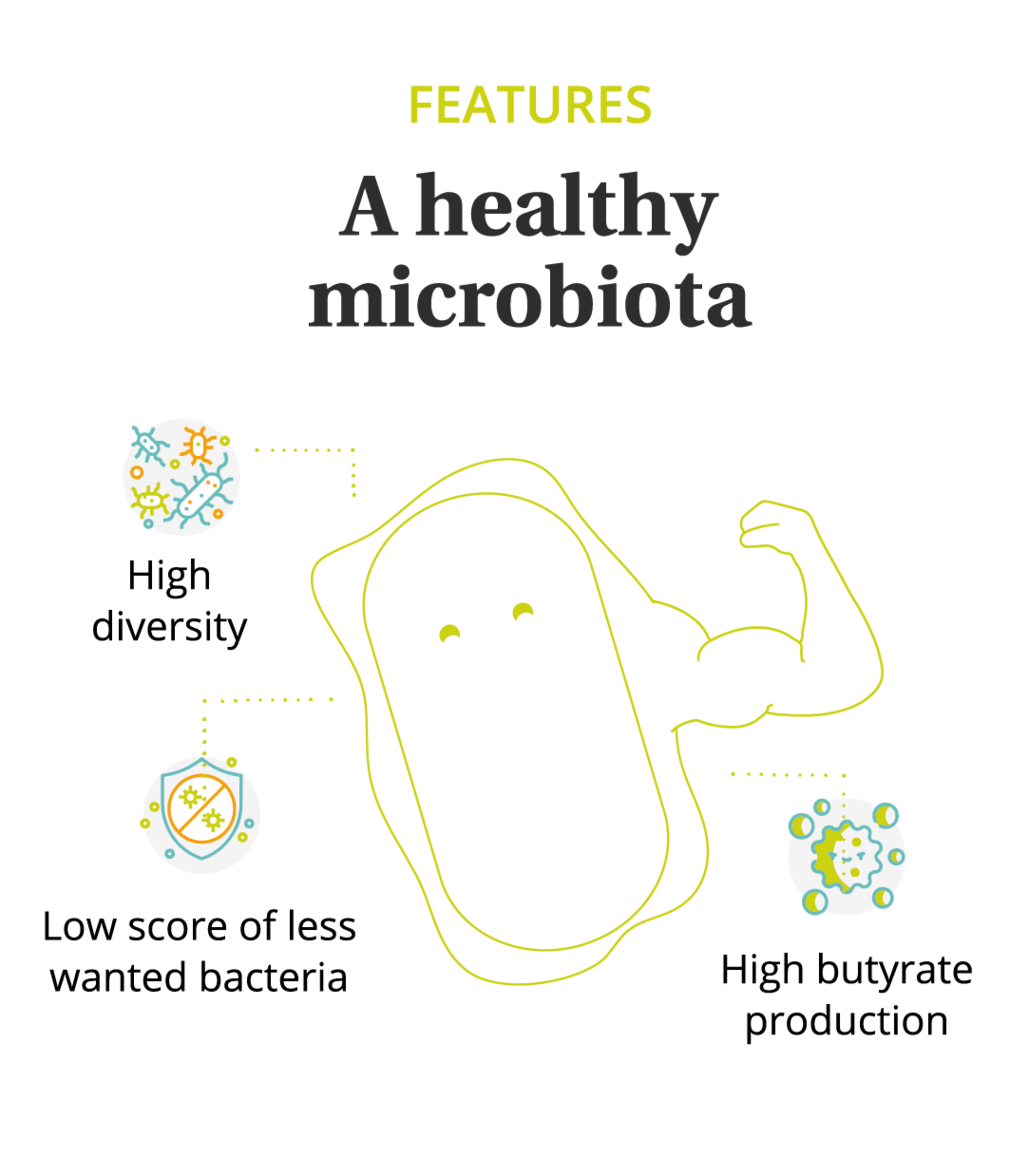 What are the microbiota and microbiome? | MyMicroZoo - Gut Microbiome Test