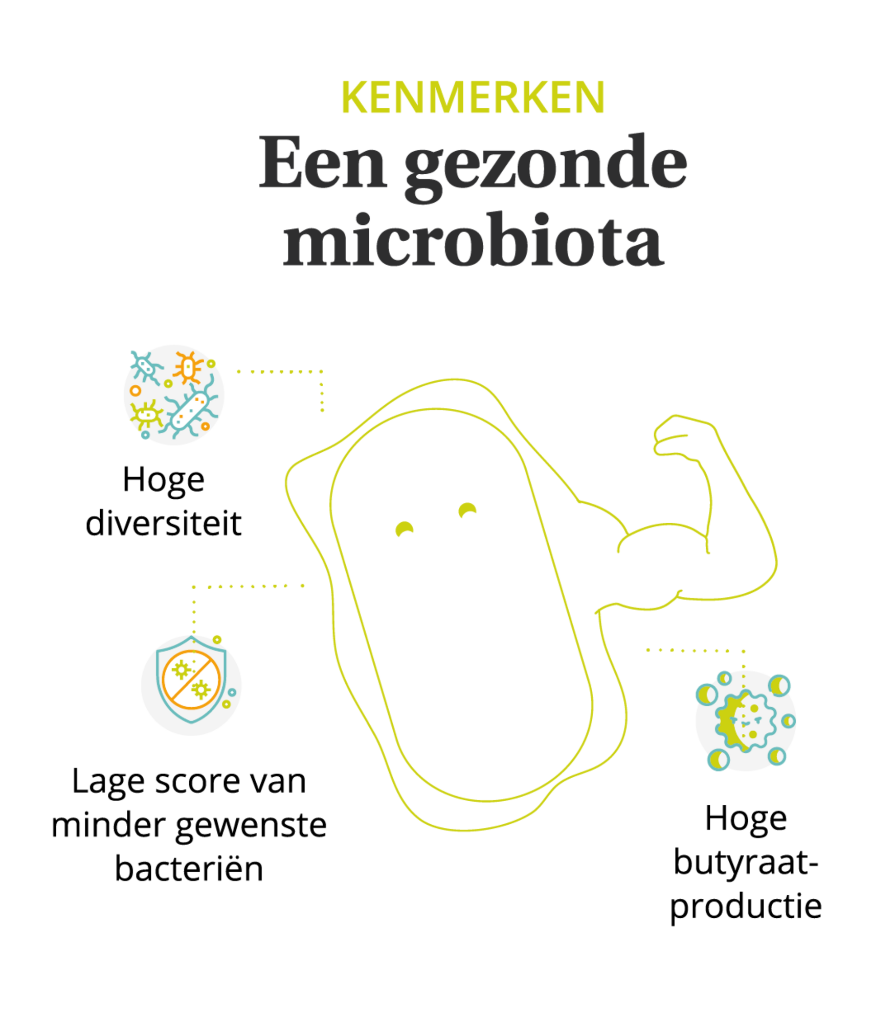 Wat zijn de microbiota en het microbioom? | MyMicroZoo - Darm ...