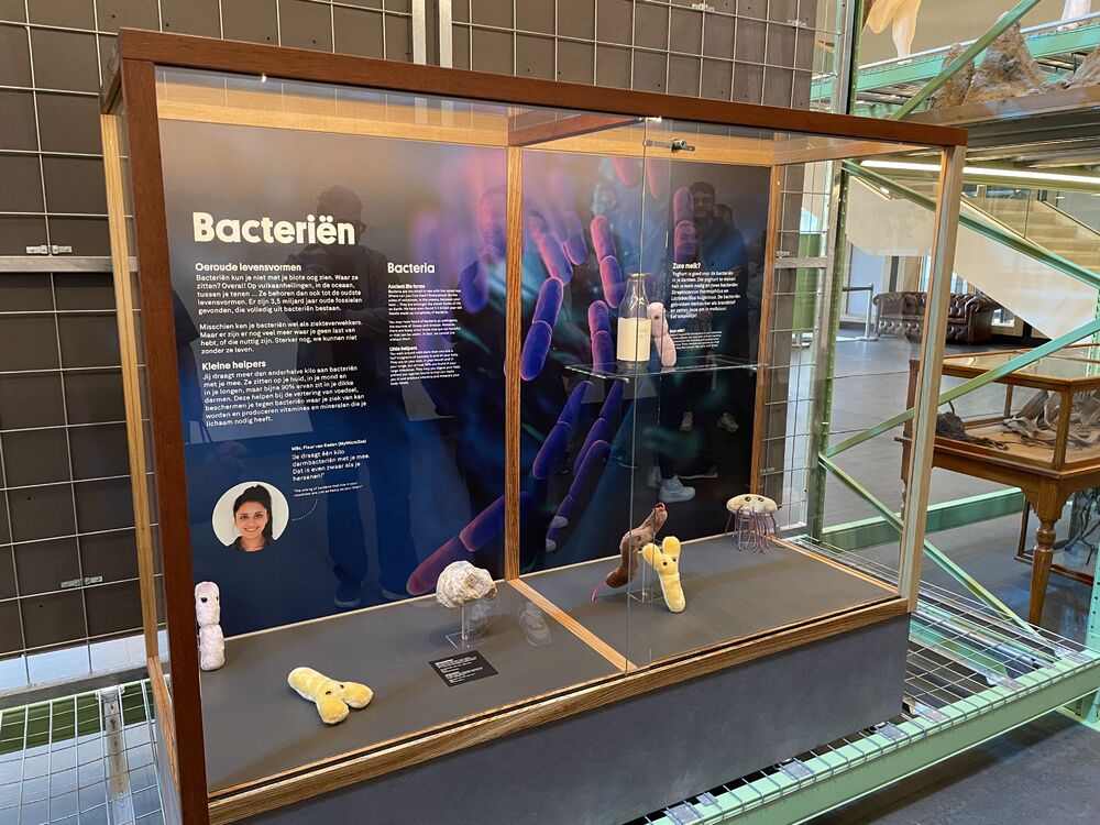 In de media | MyMicroZoo - darm microbioom test